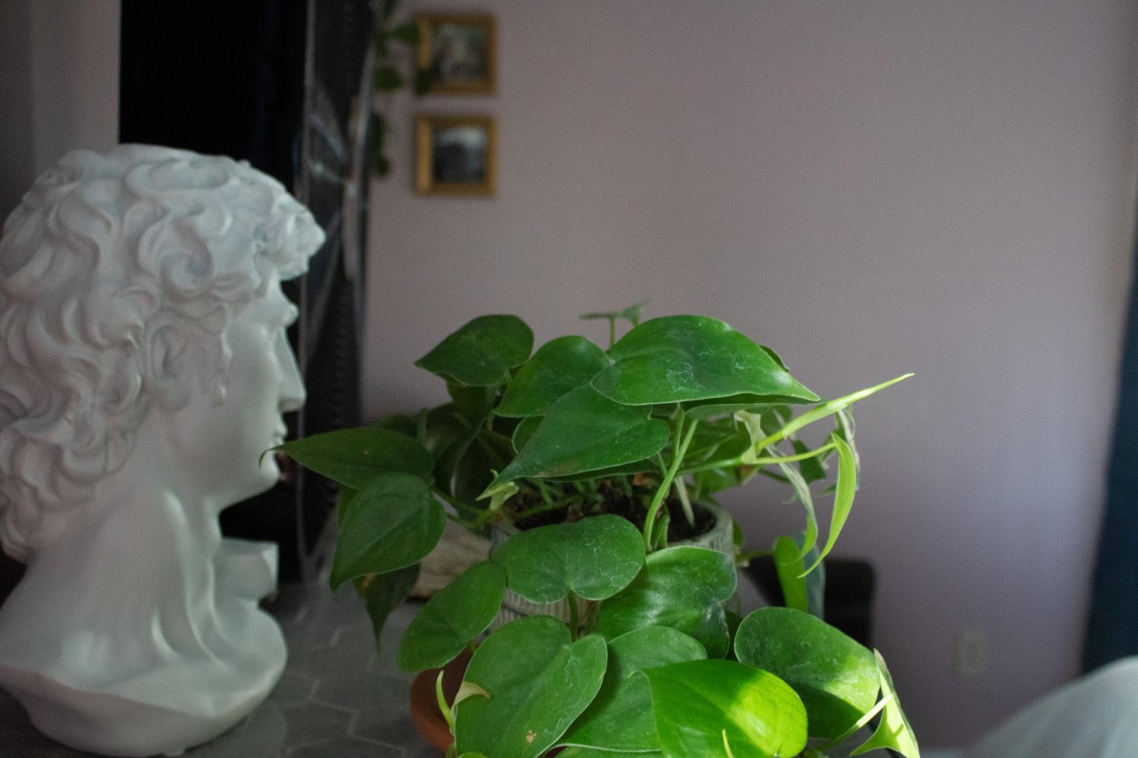 Cottagecore master bedroom makeover-40 – The Art of Cottagemaking
