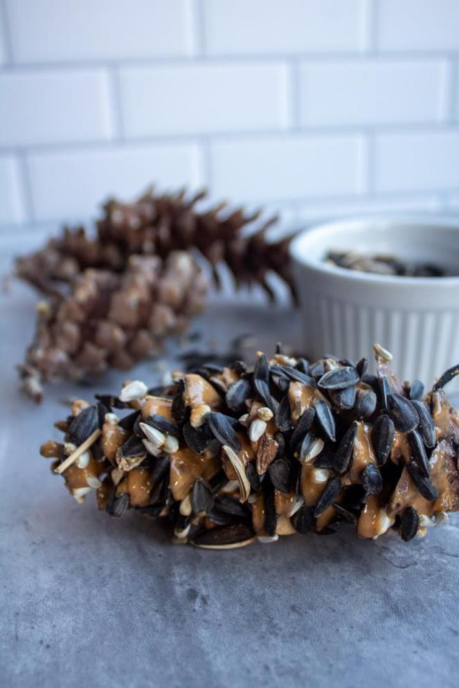 DIY Pine Cone Bird Feeder – The Art of Cottagemaking