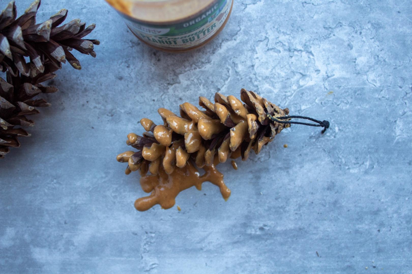 DIY pine cone bird feeder-19 – The Art of Cottagemaking
