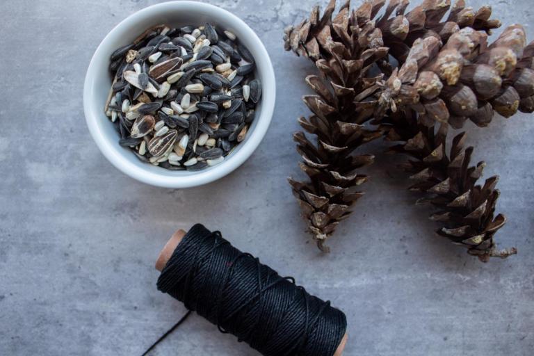 DIY Pine Cone Bird Feeder – The Art of Cottagemaking